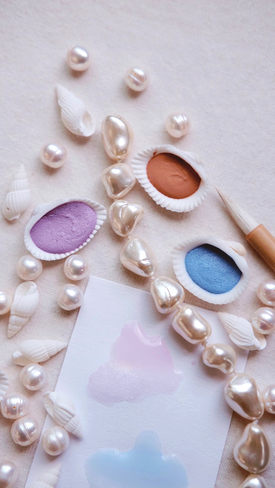 Seashell shimmers + Eco-friendly seashell watercolor — Wildthorne