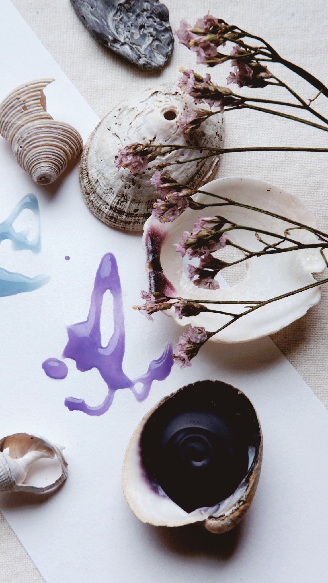 Sea Urchin + Eco-friendly seashell watercolor — Wildthorne
